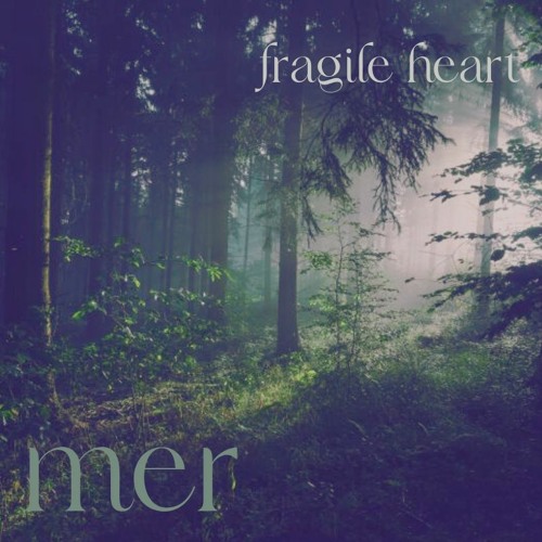 Stream Fragile heart by songsbymer | Listen online for free on SoundCloud