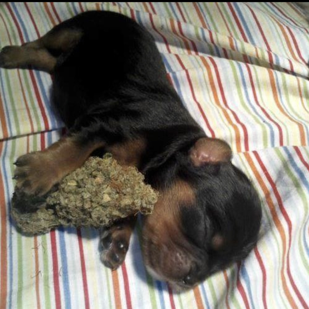 Stream Behind the mic-Sk30 by 212 | Listen online for free on SoundCloud