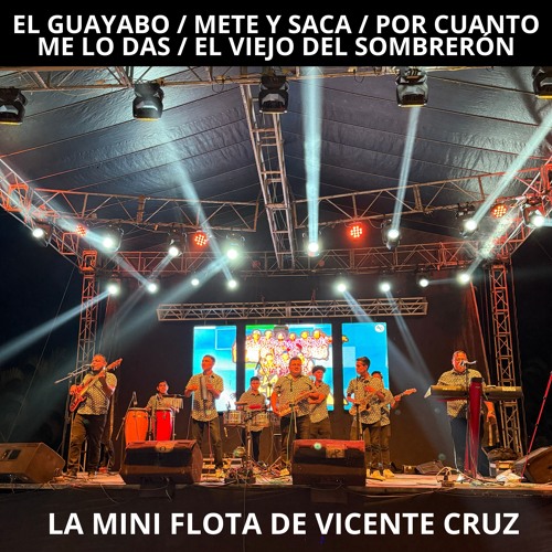 Stream La Mini Flota de Vicente Cruz | Listen to El Guayabo / Mete y ...