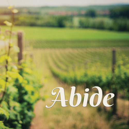 Listen to Abide by Lifeway Worship in Greatest Worship Songs 2024 ...