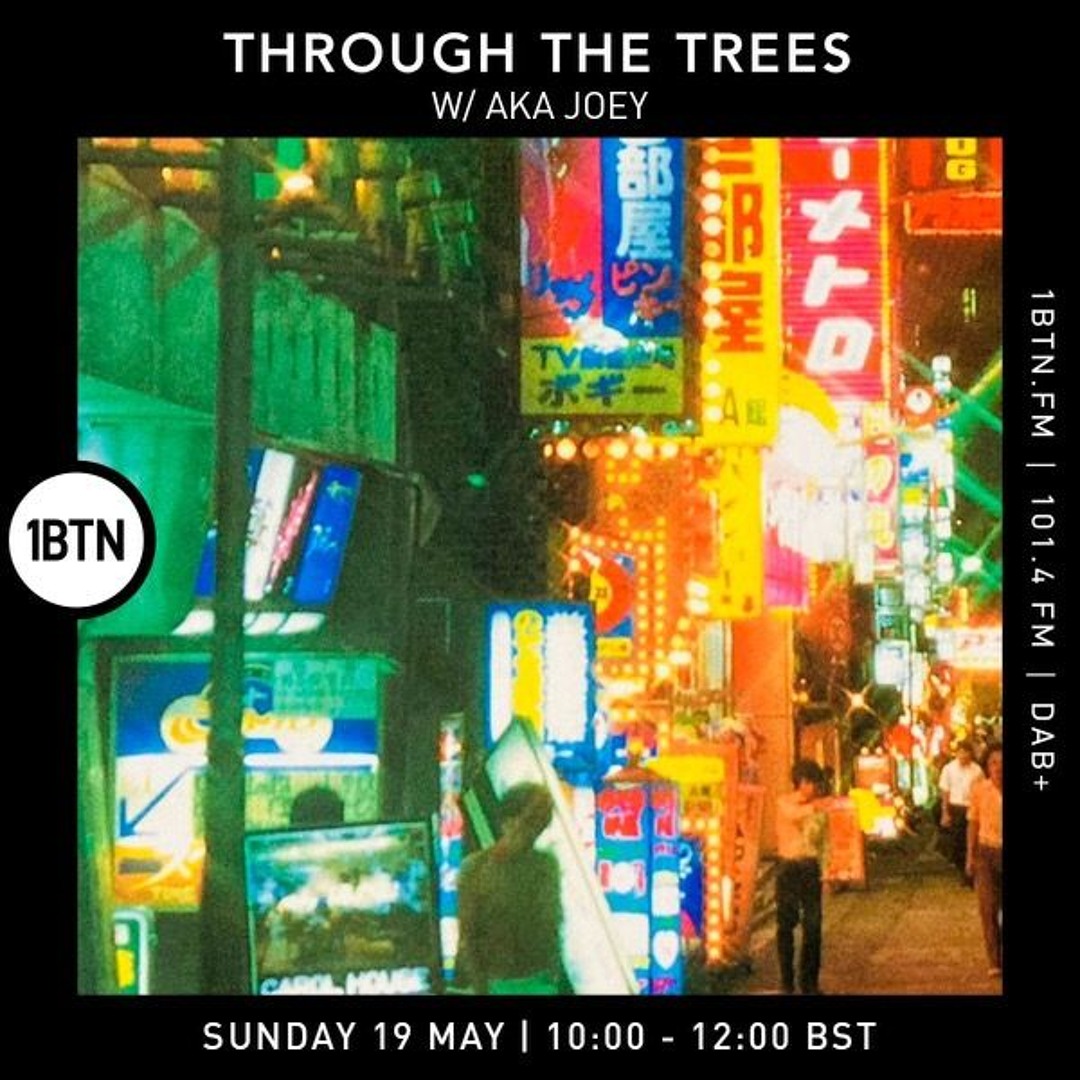 Stream Ty - Through The Trees ft. AKA Joey - 19.05.24 by 1BTN | Listen ...
