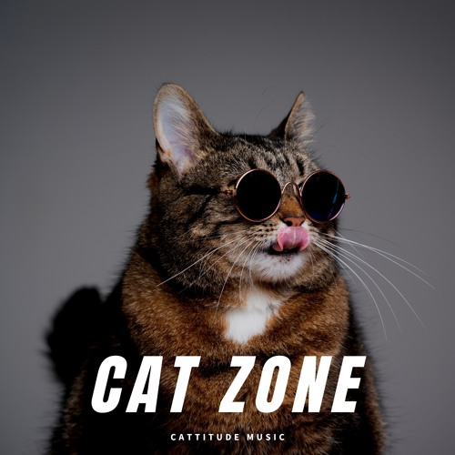 Stream Music for Cats | Listen to Cat Zone playlist online for free on ...