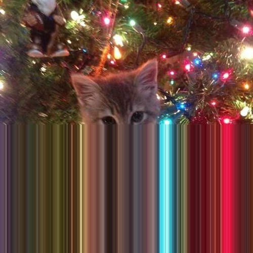 Stream Rudolph the Red-nosed Reindeer (trap remix) by Pauliuliu ...