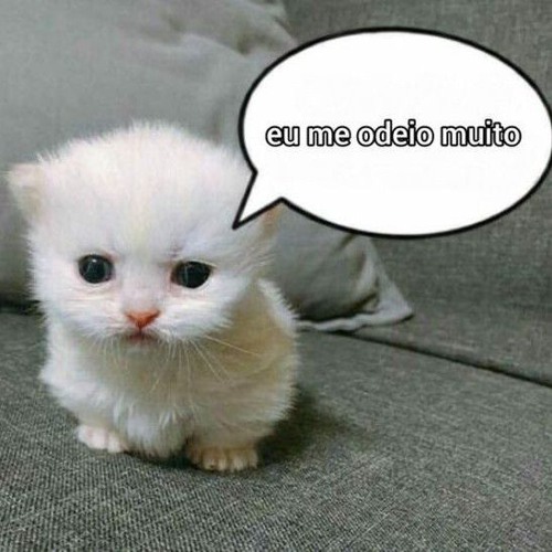 Stream kitty party - sick entity & cute shinigami by sick entity ...