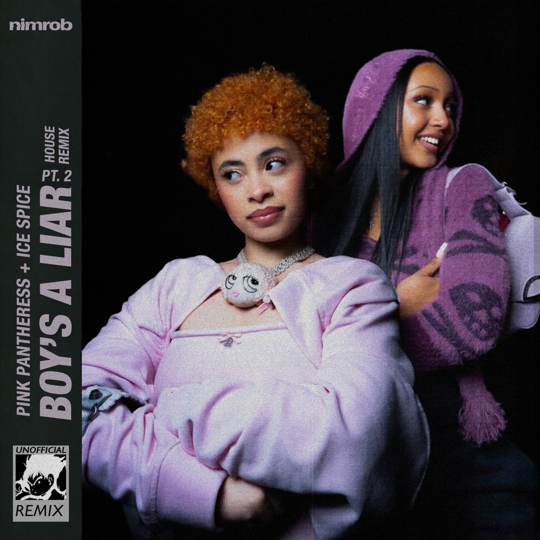 Stream PinkPantheress x Ice Spice - Boy's a Liar pt2 (LOFI House Remix ...