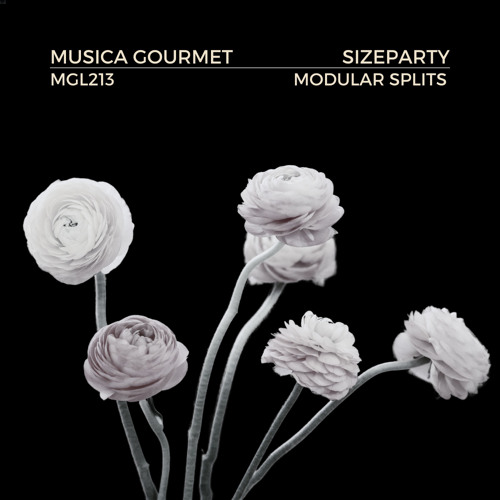 Stream MUSICA GOURMET | Listen to Modular Splits playlist online for ...