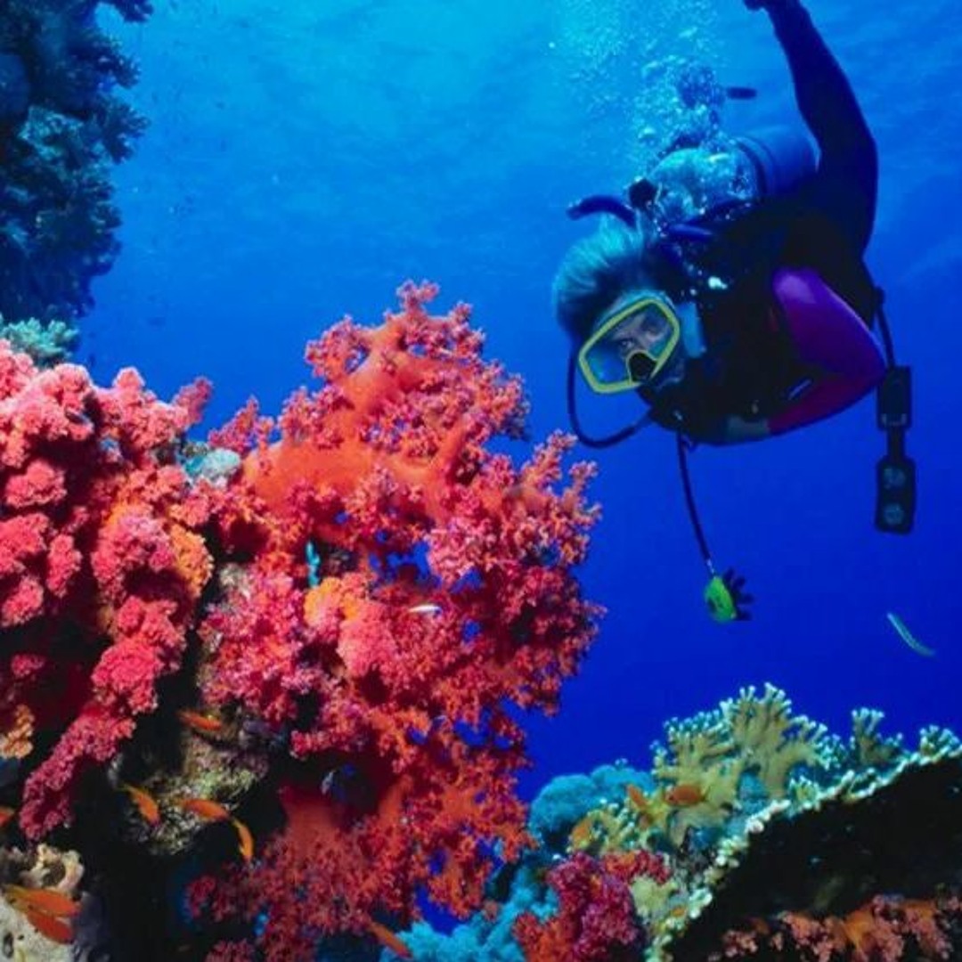 Stream Adam Taylor | Listen to Dom-TomDom/Sub background loop FREE ...