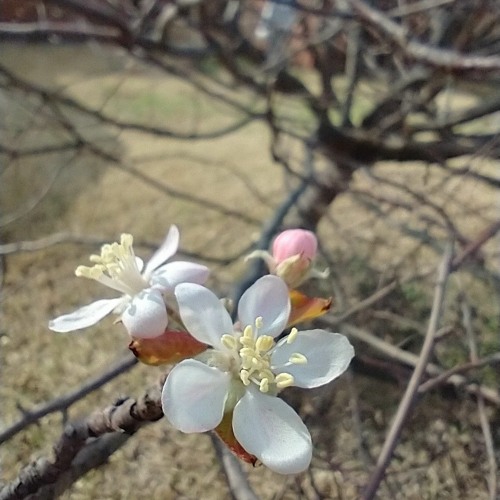 Stream Walk With Purpose by Eric Dao | Listen online for free on SoundCloud