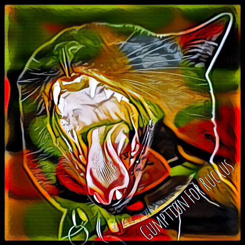Stream "Gumption For Ruckus" by Stoney Bair by Stoney Bair | Listen ...