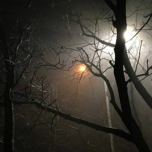 Stream Shari Heck - Day Night Cycle by Noctis Proditor | Listen online ...