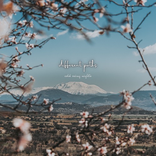Stream different paths by cold rainy nights | Listen online for free on ...
