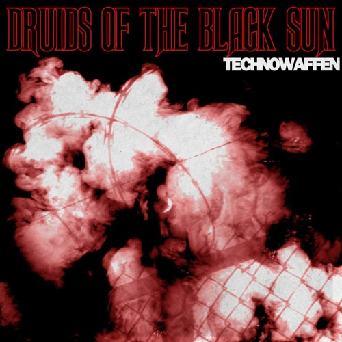 Stream Aryan Trapstar by Druids of The Black Sun | Listen online for ...