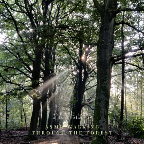 Stream ASMR Walking through the Forest | Listen to ASMR Relaxing with Footsteps playlist online ...