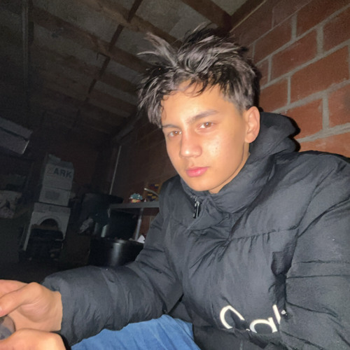 Stream Tomas Bertels | Listen to 101 beeldscherm op je rotjoch playlist ...