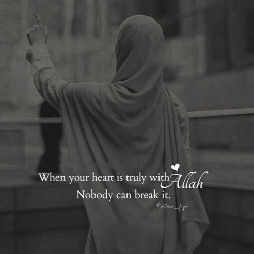 Stream Allah Made Everything - Zain Bhikha (Official Video) feat. Omar ...