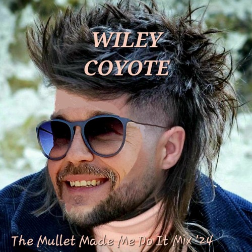Stream The Mullet Made Me Do It Mix '24 by Wiley Coyote | Listen online ...