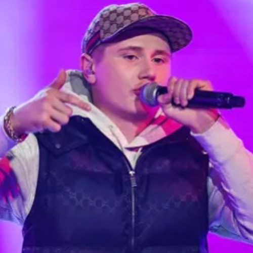 Stream Einar - Toutou (Haval AI Cover) by Alexed | Listen online for ...