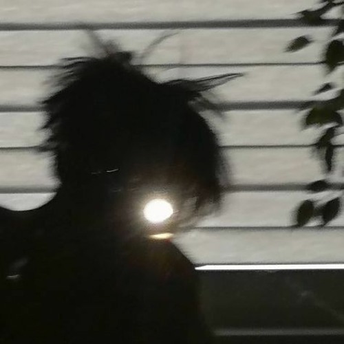 Stream finna khs (mar 2024) by kon archive | Listen online for free on ...