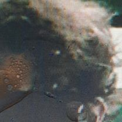 Stream pieces radio (WIPS) by Revin Goff | Listen online for free on ...