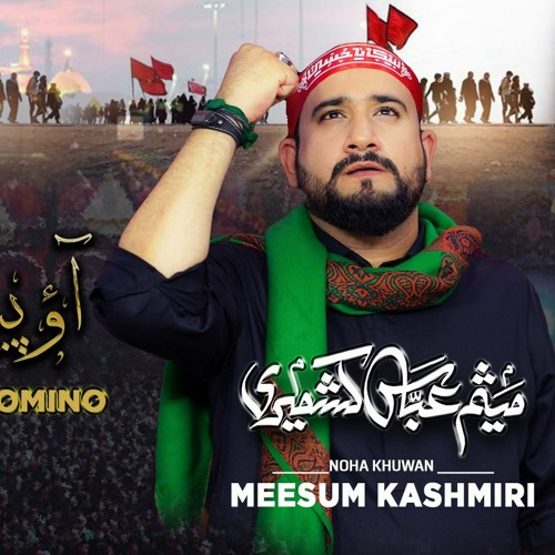 Stream New Noha 2022| Meesum Kashmiri| New Arbaeen Noha| Aao Paidal ...
