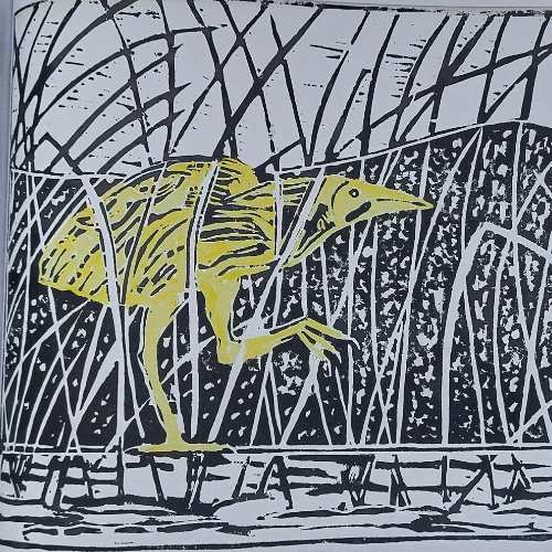 Stream The Yellow Bittern (Gavin Byrne) by Gavin Byrne | Listen online ...