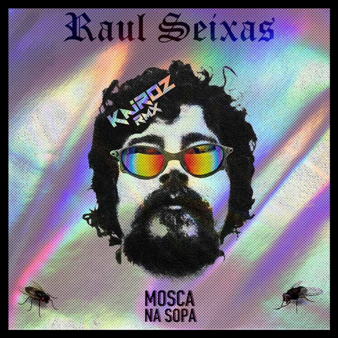 Stream Raul Seixas - Mosca Na Sopa (Kairoz Remix) by Kairoz | Listen ...