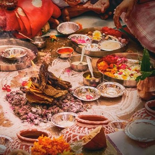 Stream Turning India's food waste into farm feed - Bindu Gopal Rao by ...