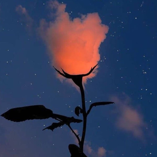 Stream hisokah - school rooftop [(slowed down) 8D] by lvg | Listen ...