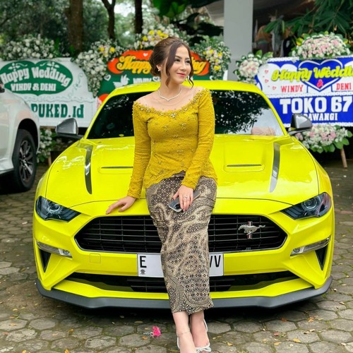 Stream SAD BOXING 🥊 #DINI RAHMA & ALVIN YE. VIP EXPRESS by Alvin ...