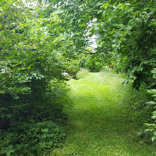 Stream Madrigal by Keith Garside | Listen online for free on SoundCloud