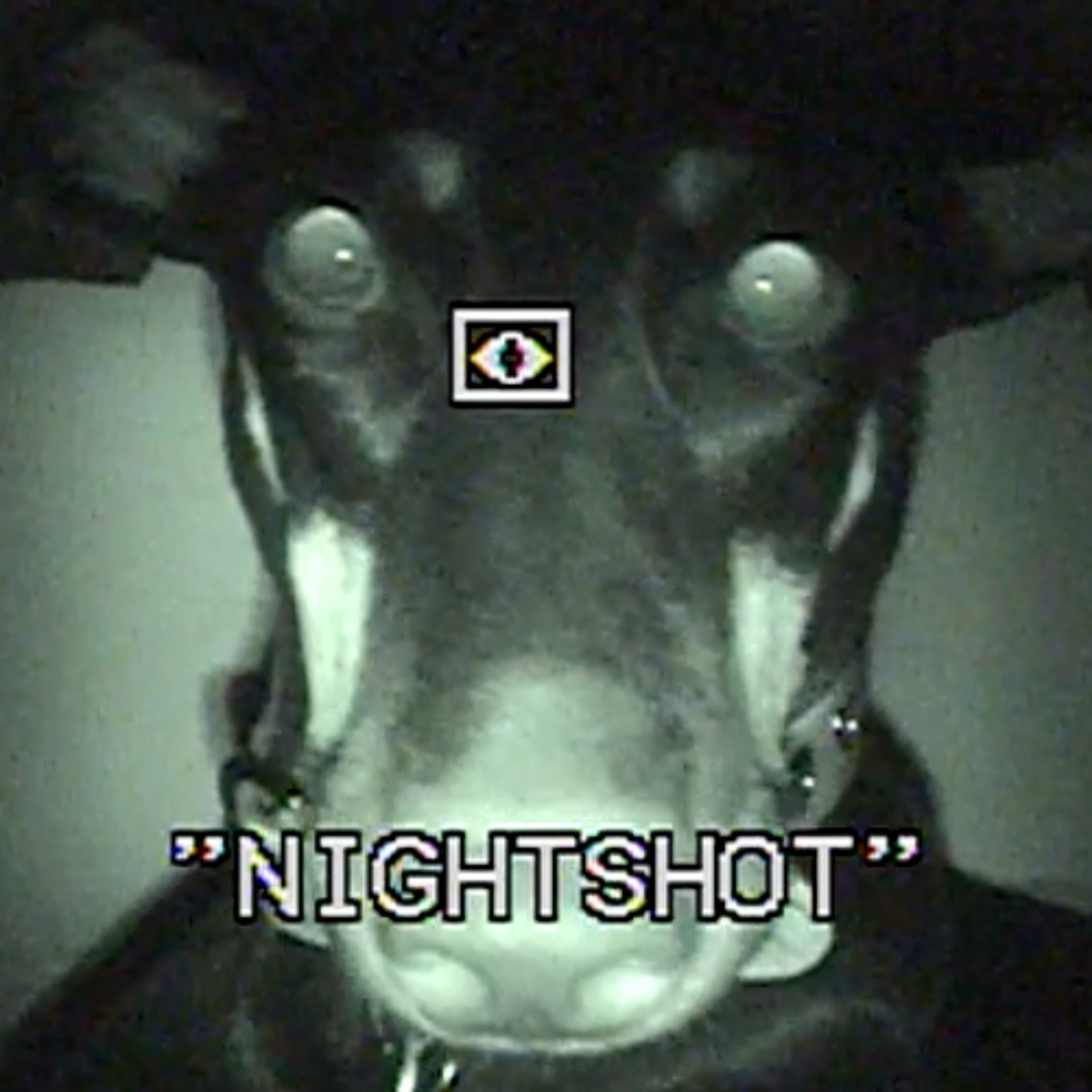 Stream Future - Lil Demon (JAWNS Version) by JAWNS | Listen online for ...