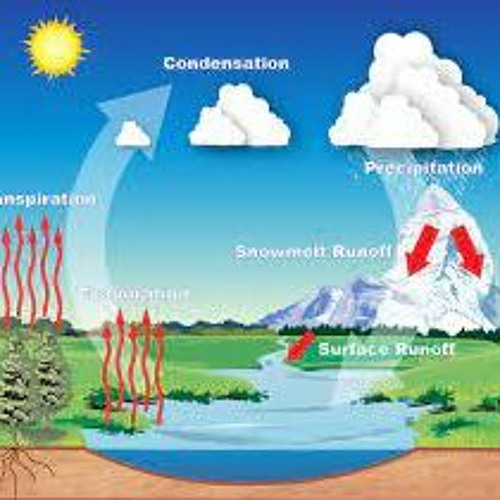 Stream Water Cycle Rap by Selfish Psycho | Listen online for free on ...