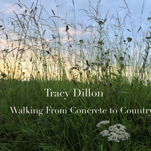 Stream Walking From Concrete to Country by Tracy Dillon | Listen online ...