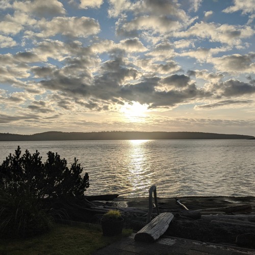 Stream Alaska - Maggie Rogers (Connor Roff Cover) by Connor Roff ...