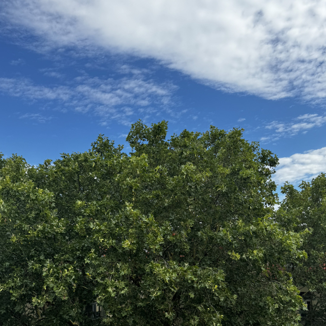 Stream vinyl mix 001 by Balba | Listen online for free on SoundCloud