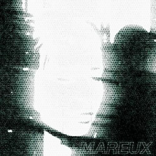 Stream Mareux - The Perfect Girl ( slowed & reverb ) by Nicu Lebeda ...