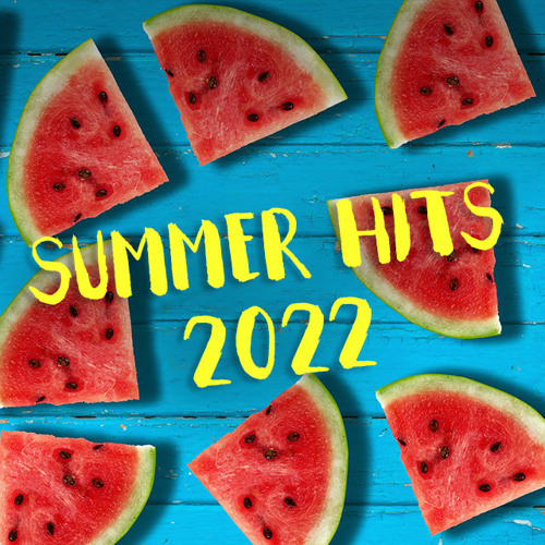 Stream Michael Mayntz | Listen to Summer Hits 2022 | Sommer Vibes ...