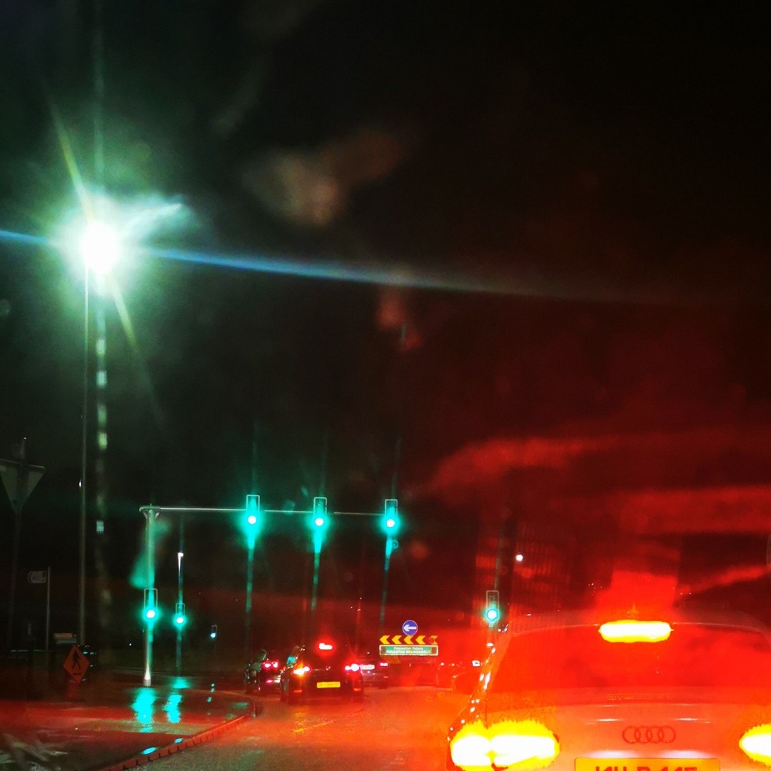 Stream Free Bird Remix - Music by Moonlight by 🤣🤣🤣 | Listen online for ...