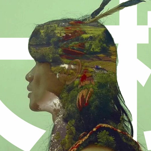 Stream Yise Loo's【大樹 Ode to the Tree】Anak Borneo Cover by Anak Borneo ...