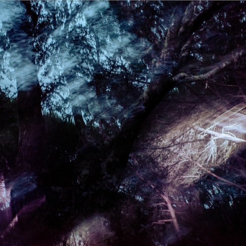 Stream Menica at Floresta - Waking Life '23 by Waking Life | Listen ...