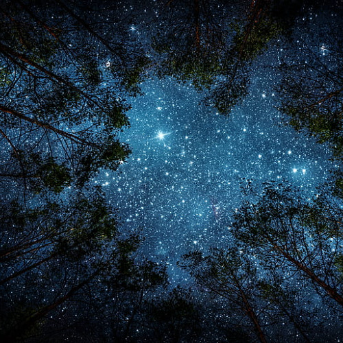 Stream Step Outside This Starry Country Night by The Nightfall Snakes ...