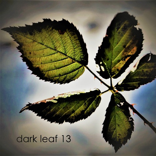 Stream Dark Leaf 13 by Jagnuthr | Listen online for free on SoundCloud