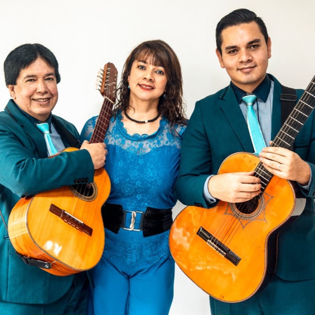 Stream QUIEN SERA? by Trio Nueva Imagen Bgta | Listen online for free ...