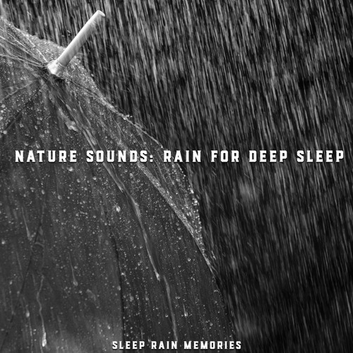 Stream Camping At Night In The Forest With Rain Sounds By Sleep Rain