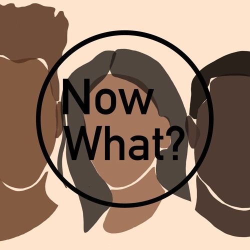 Stream Episode #1: "Reform vs Abolition" How Should We Fix a Violent ...