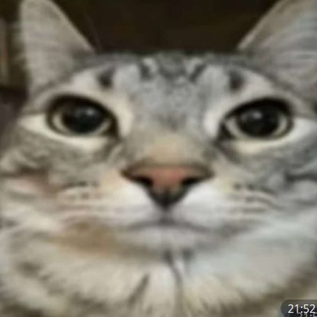 Stream bibizyan | Listen to dsad playlist online for free on SoundCloud