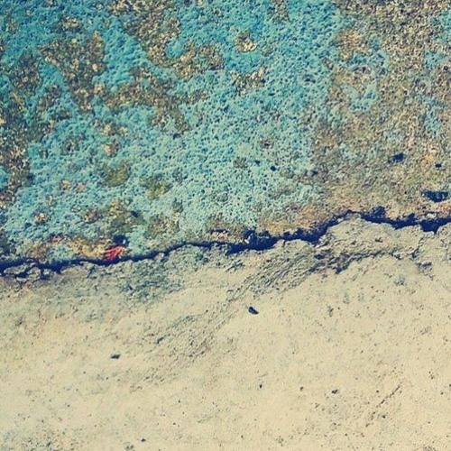 Stream El pueblo unido jamás será vencido by Anna Donner | Listen ...