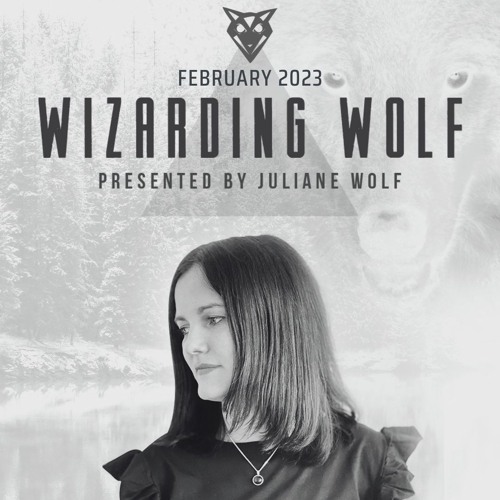 Stream Wizarding Wolf Radio | February 2023 | DI.FM Progressive ...