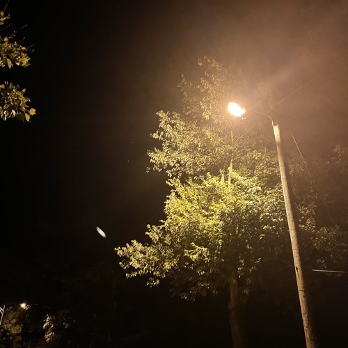 Stream Caisse by questionable | Listen online for free on SoundCloud