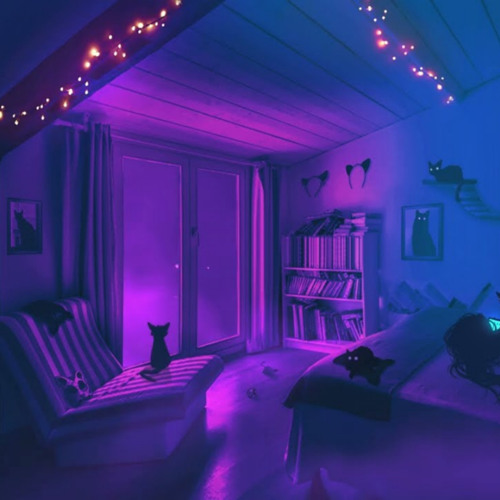 Stream ASMRdB | Listen to Cat Lady's Room | Dreamscape ASMR Ambience ...